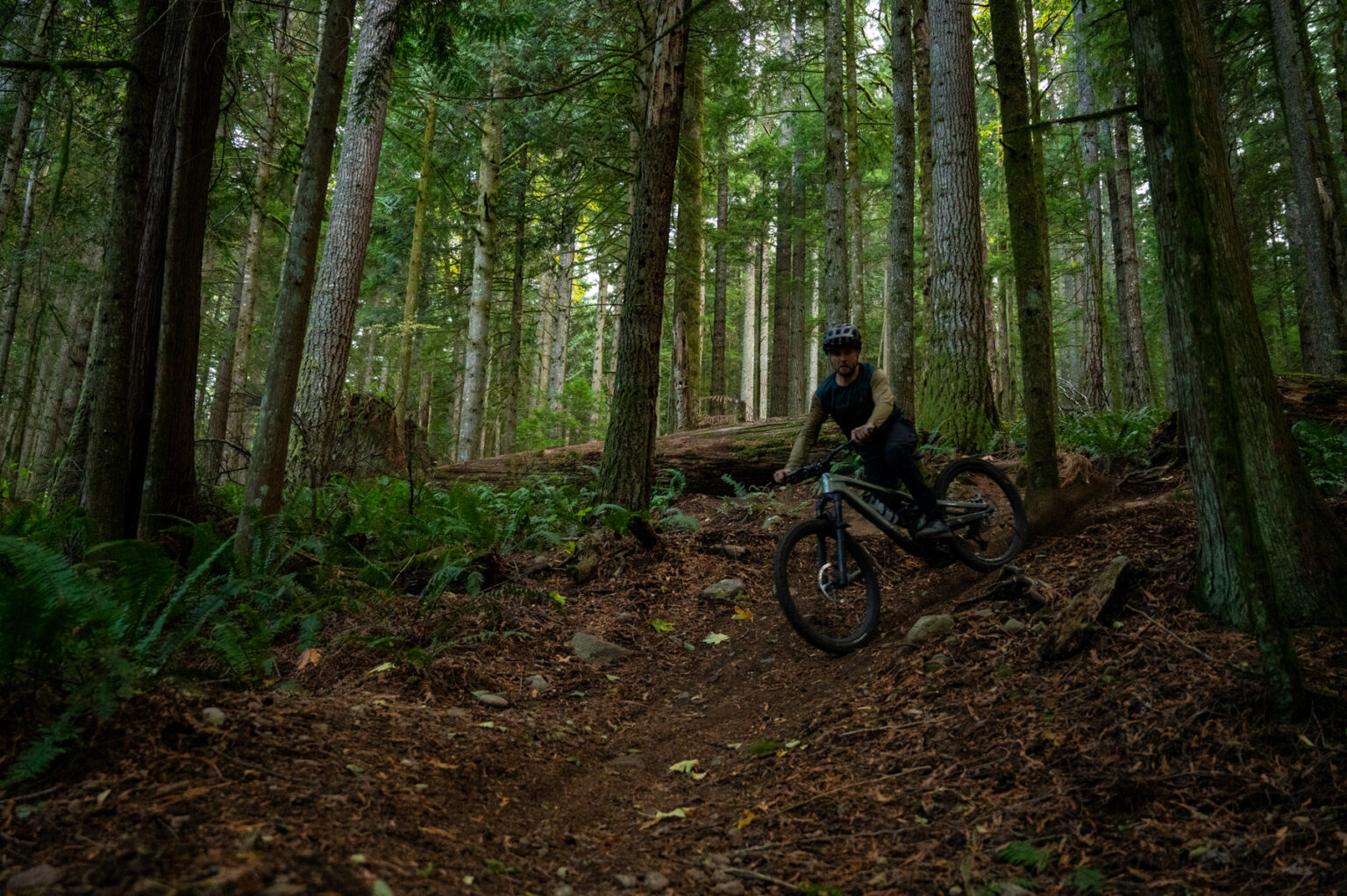 Roval Traverse HD Wheels | Blister