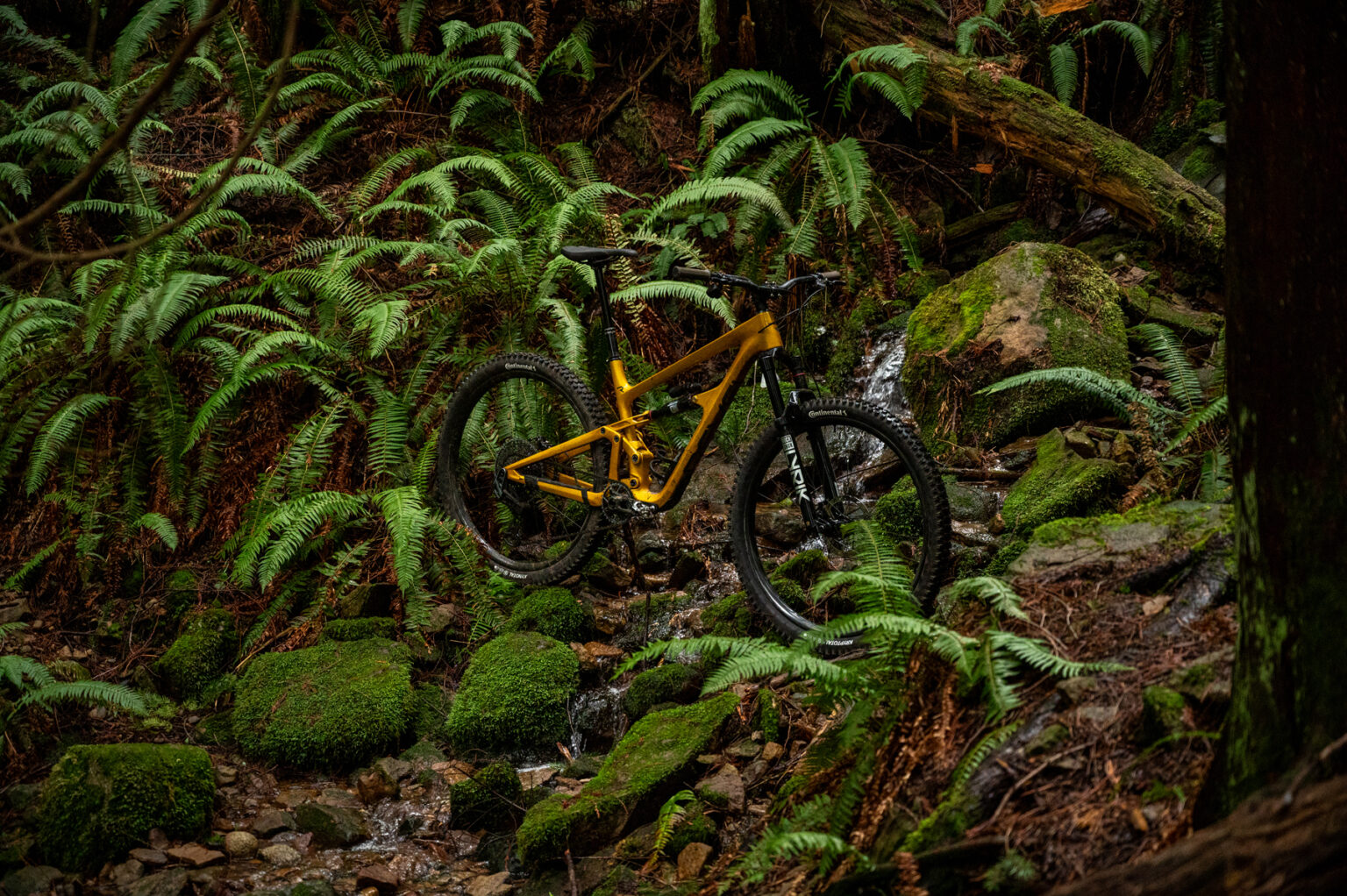 Revel Rascal V2 | Blister