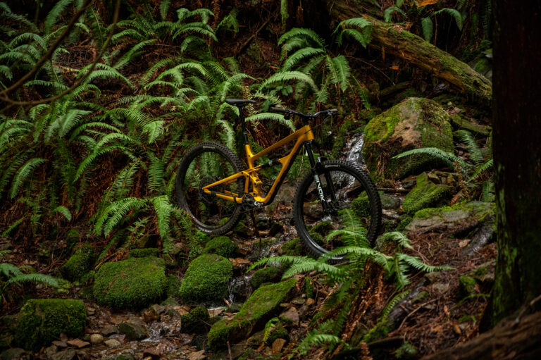 Revel Rascal V2 | Blister