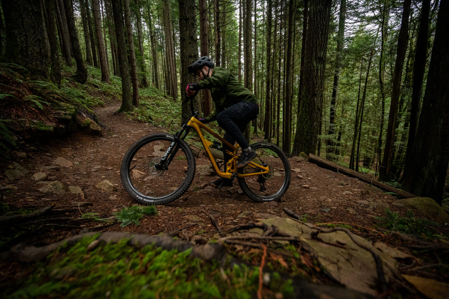 Revel Rascal V2 | Blister