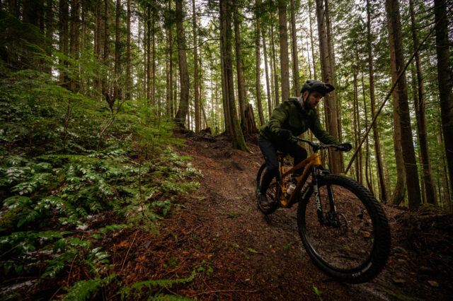 Revel Rascal V2 | Blister