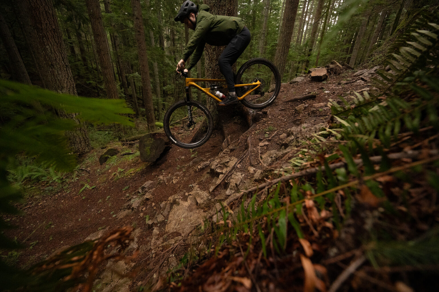 Revel Rascal V2 | Blister