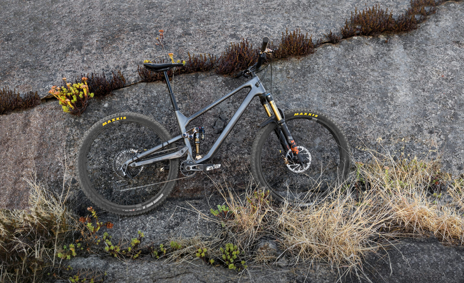 2024 Norco Optic & Norco Sight | Blister