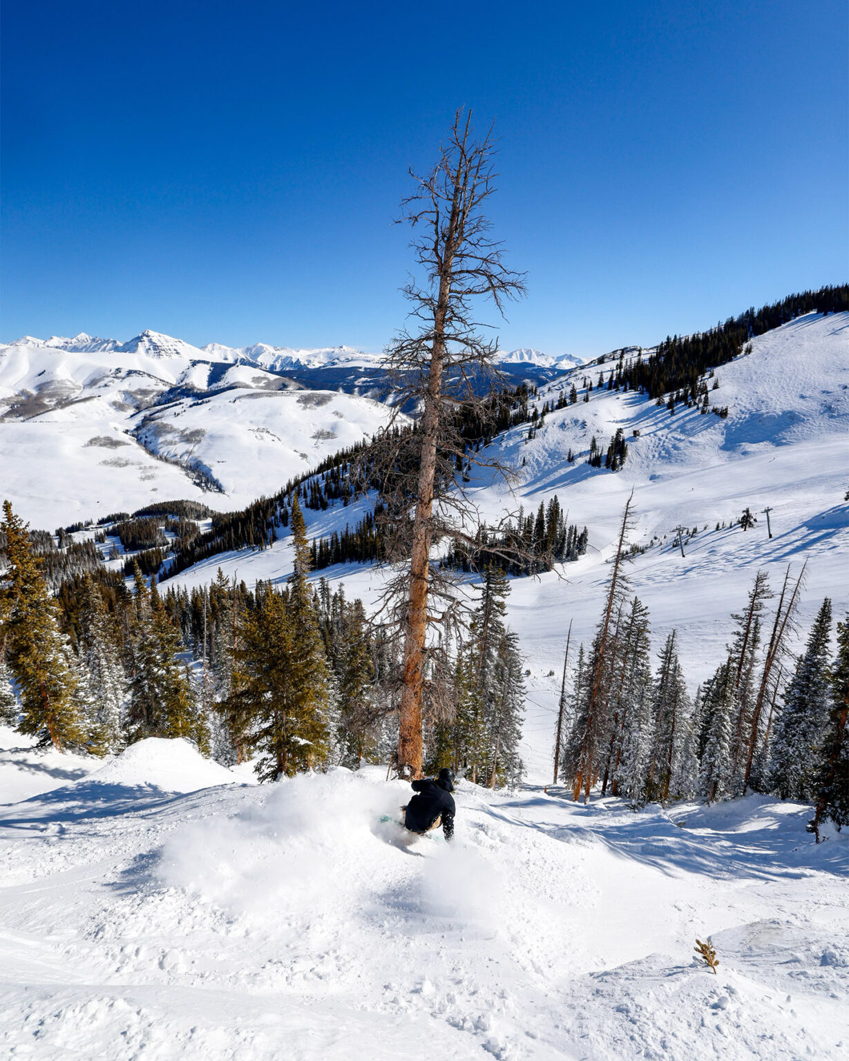 2024-2025 Volkl Revolt 114 | Blister