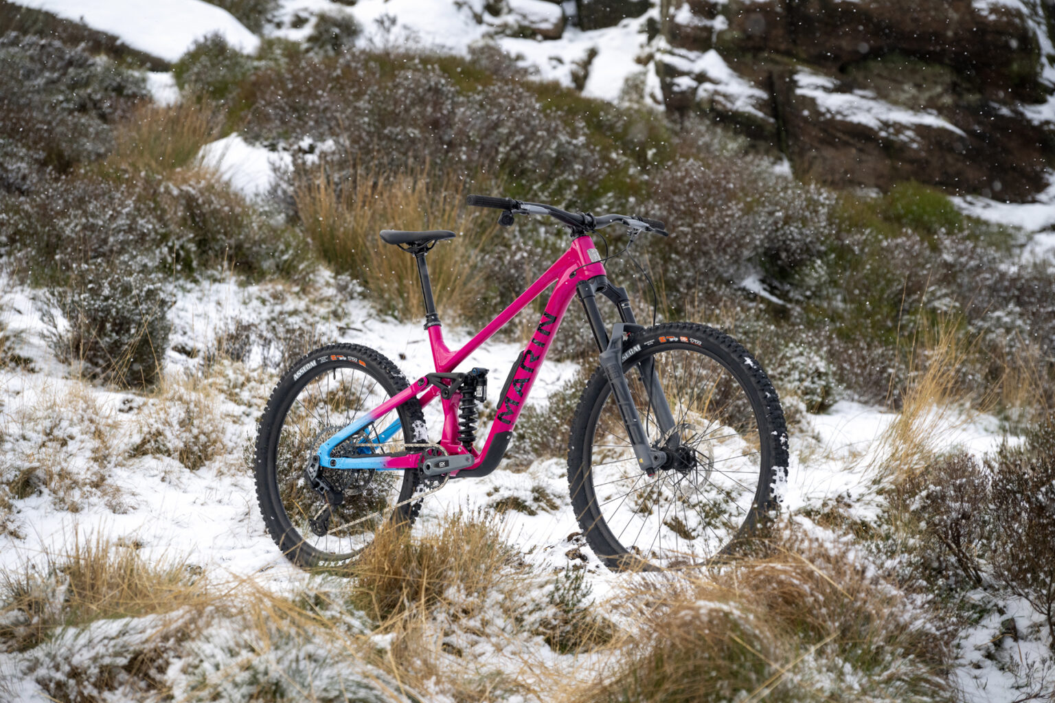 Marin Alpine Trail XR | Blister