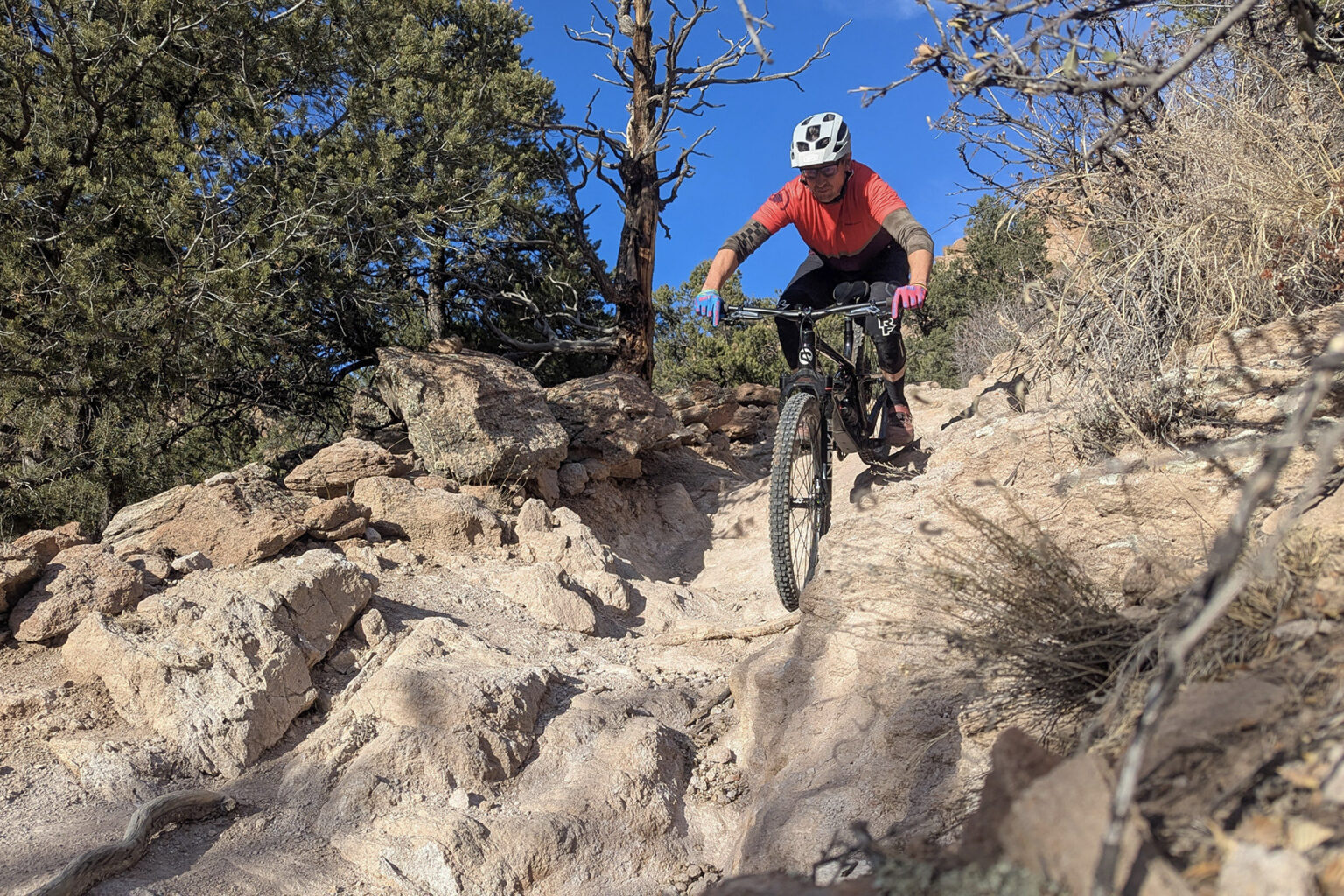 Bikes & Frames | BLISTER Outdoor Media & Gear Reviews