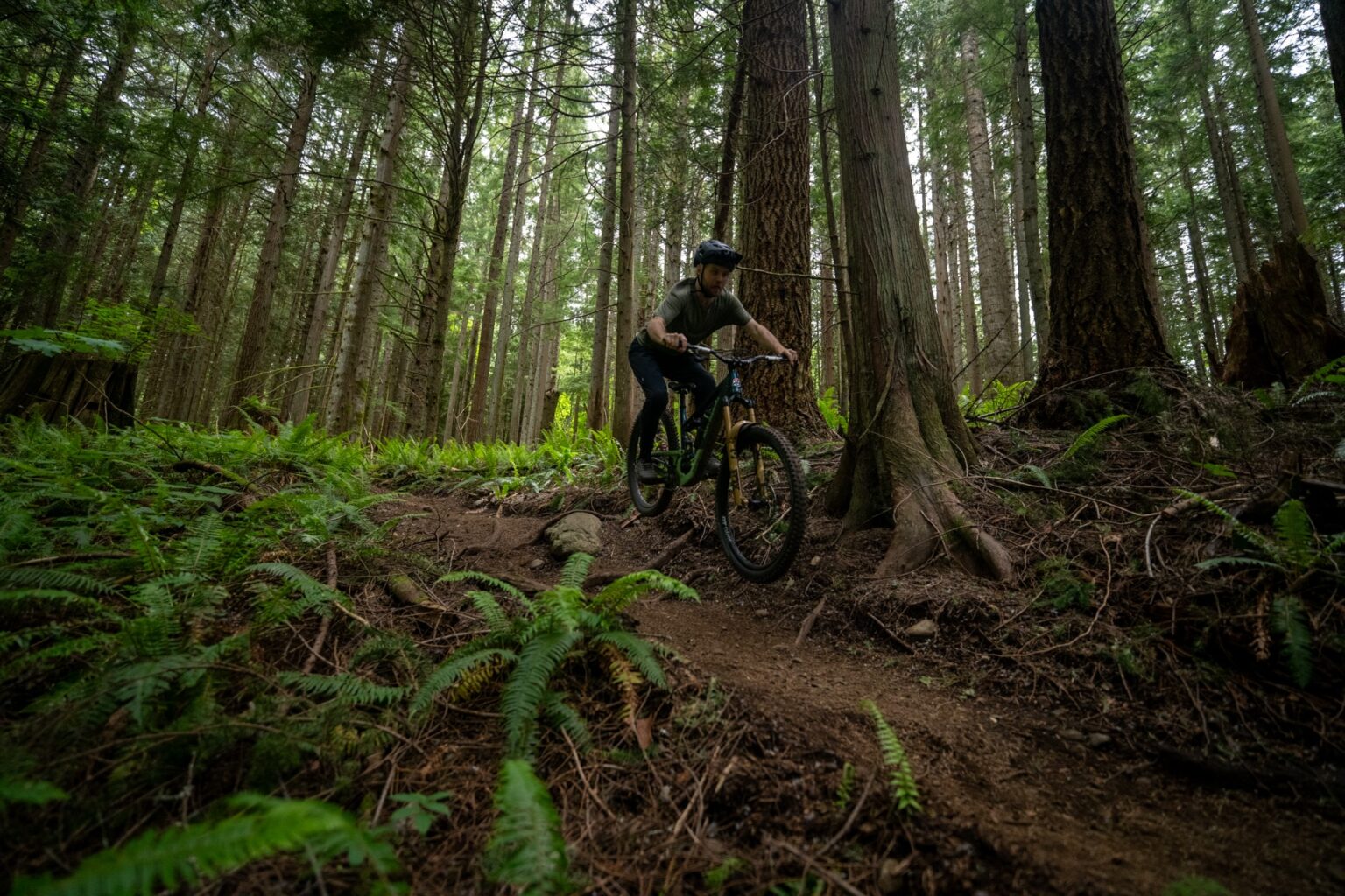 2025 Fox 38 Grip X2 | Blister