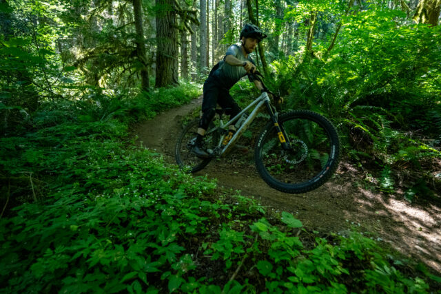 Ohlins DH38 & RXF38 Coil Spring Kits | Blister