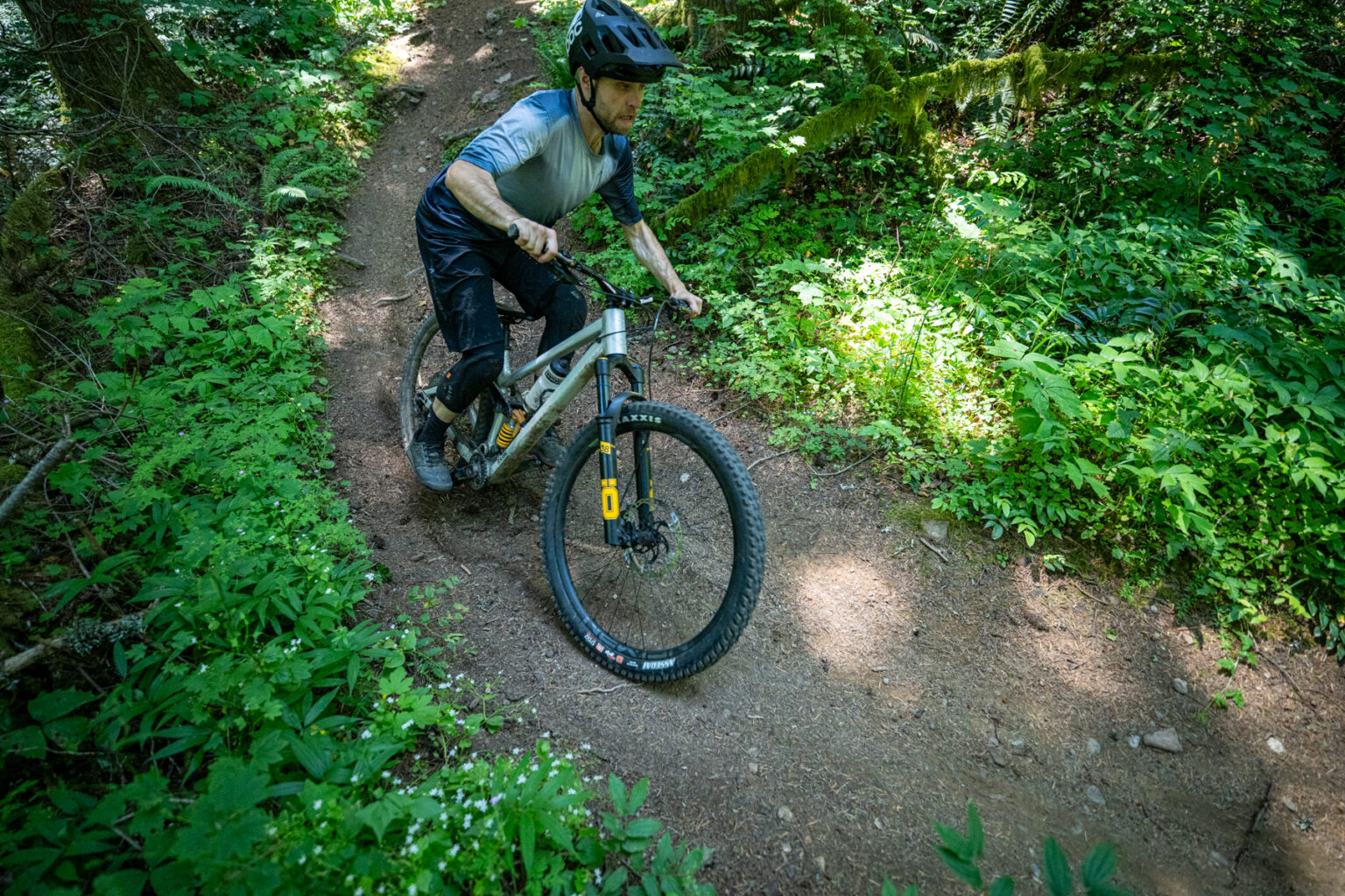 Ohlins DH38 & RXF38 Coil Spring Kits | Blister