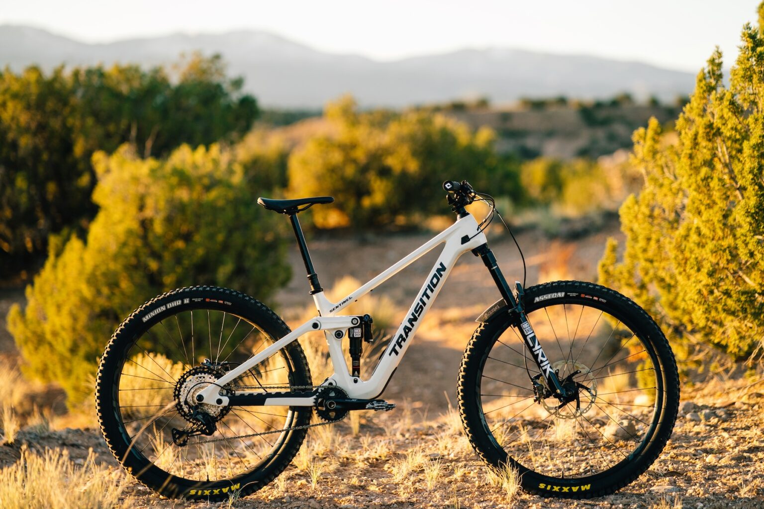 2025 Transition Sentinel | Blister