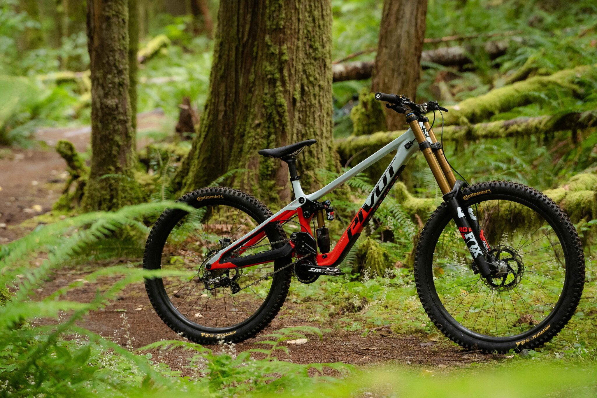 2024 Pivot Phoenix | Blister