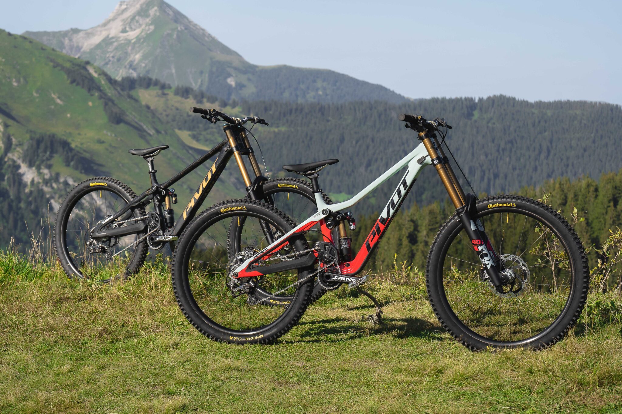 2024 Pivot Phoenix | Blister