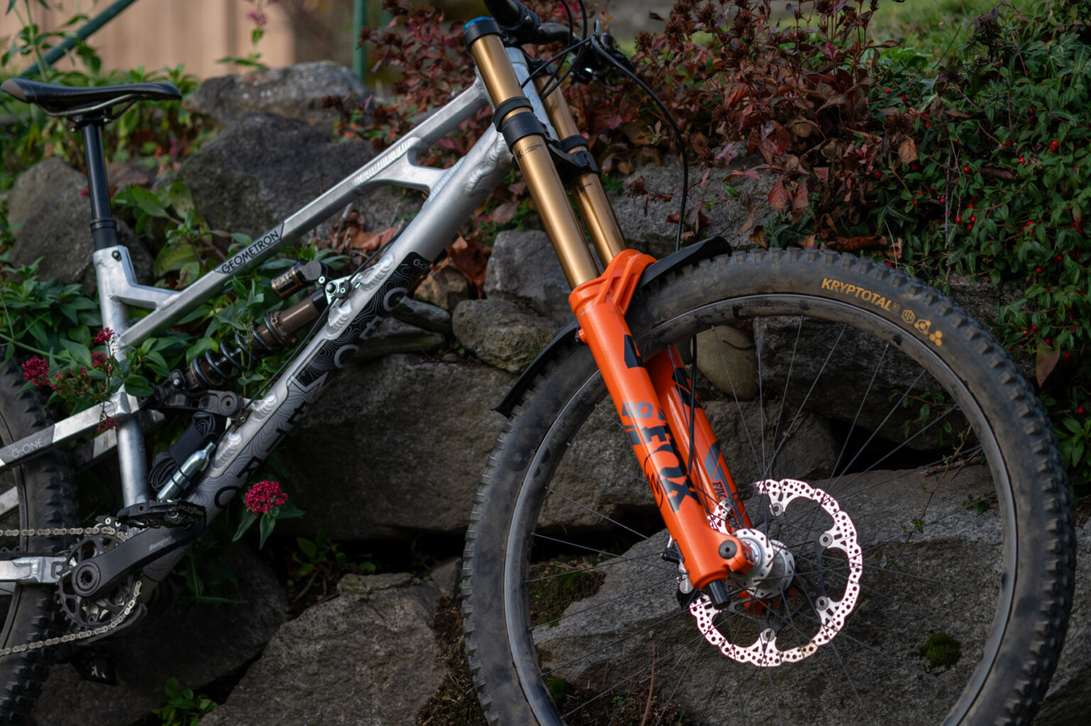 2025 Nicolai / Geometron G1 | Blister