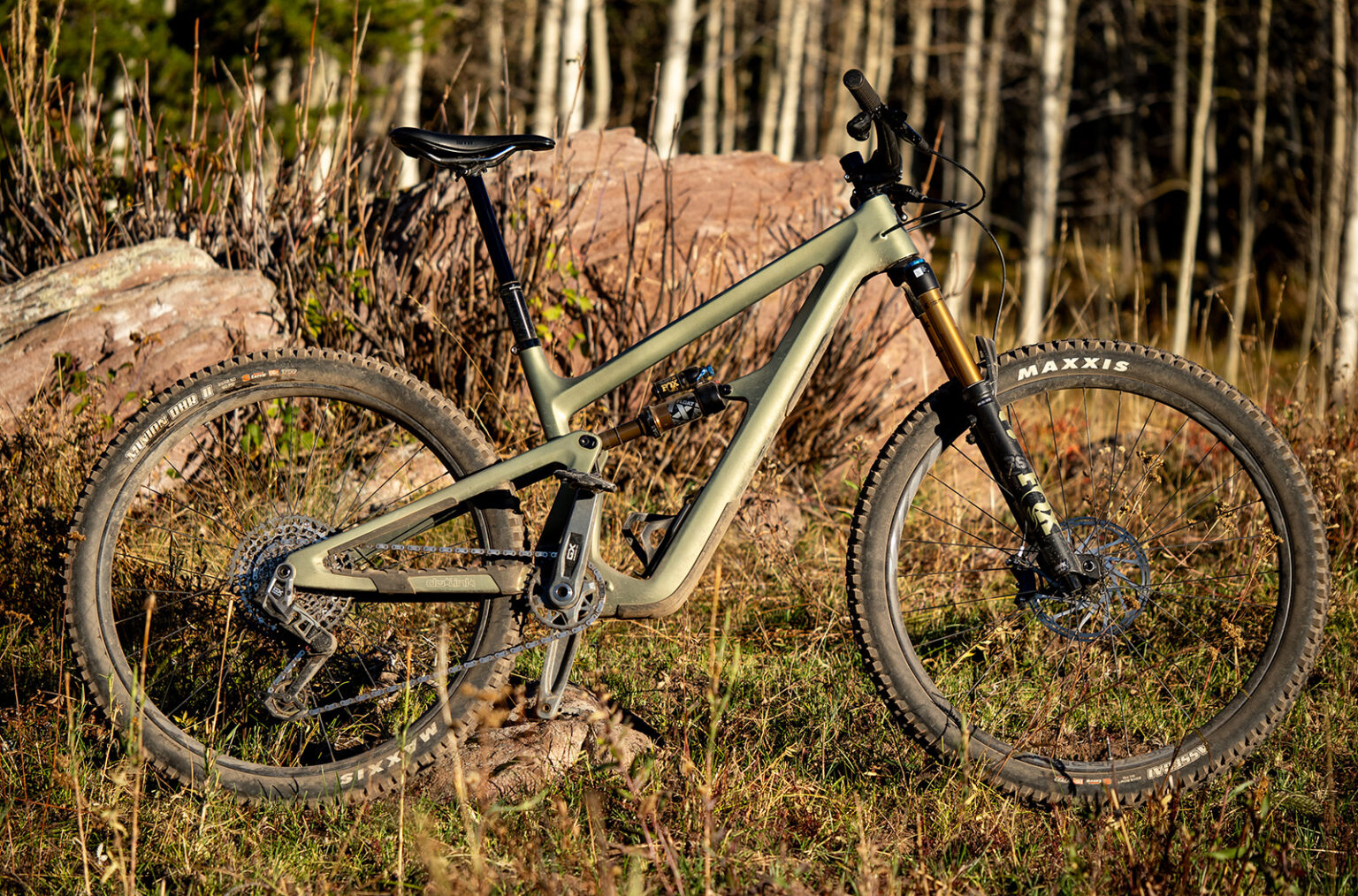 Ibis Ripmo V3 | Blister