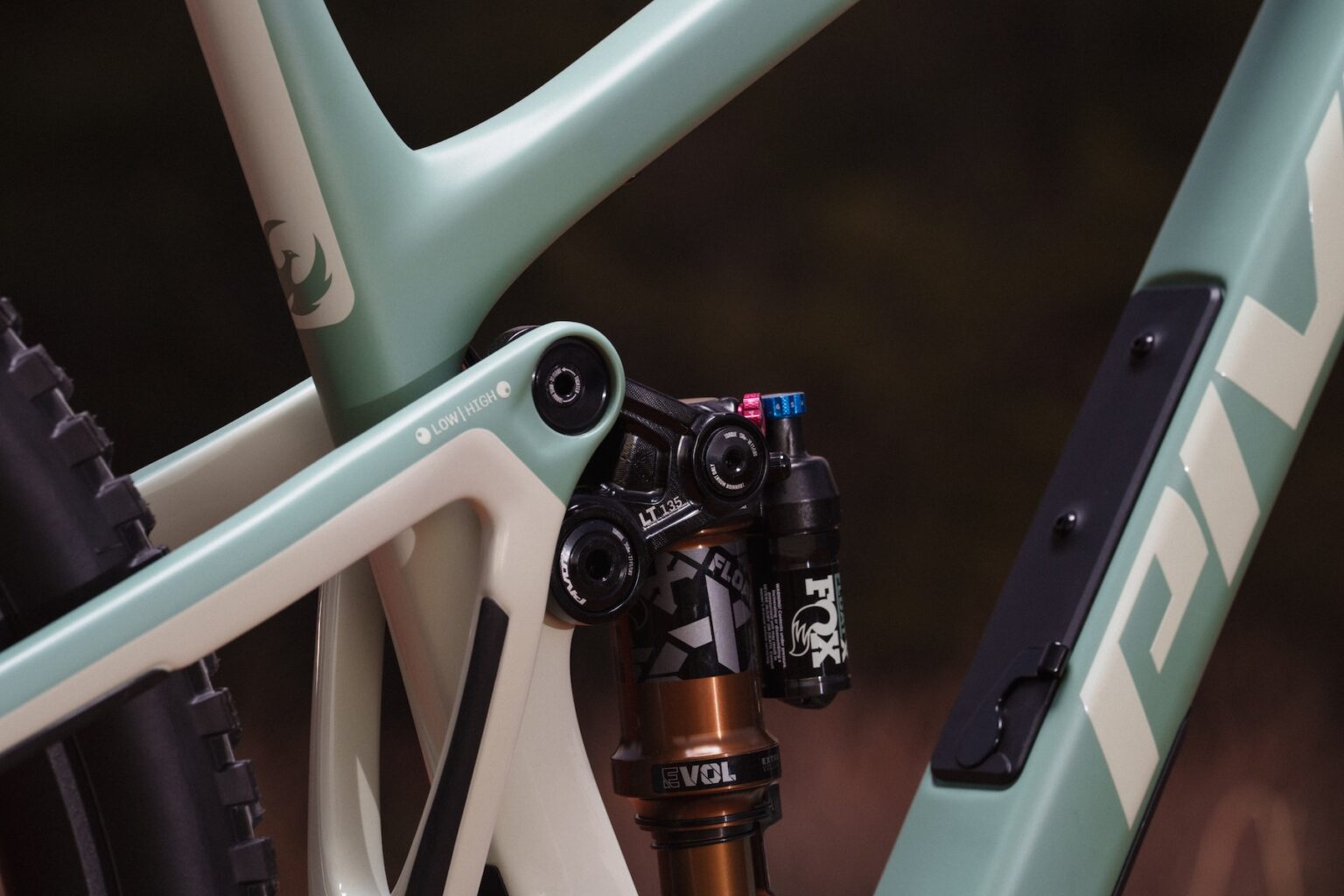 Pivot Trailcat SL & LT | Blister