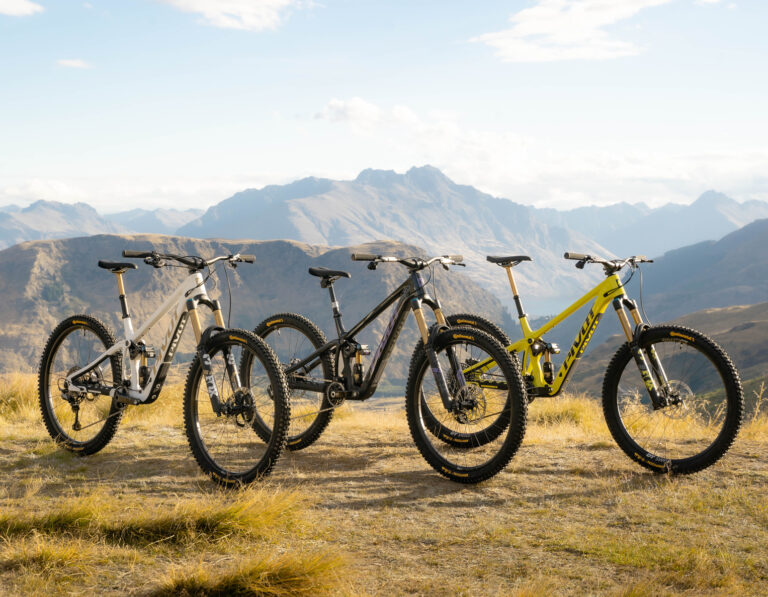 Pivot Firebird V5 | Blister