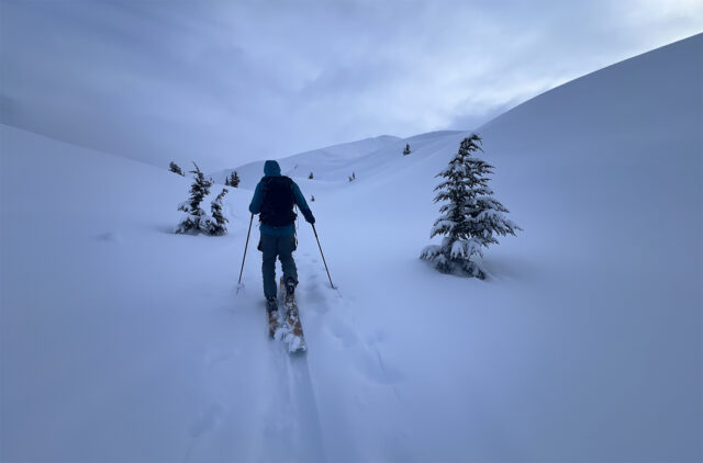 2025-2026 Dynafit Ridge Pro Ski Boot | Blister Review