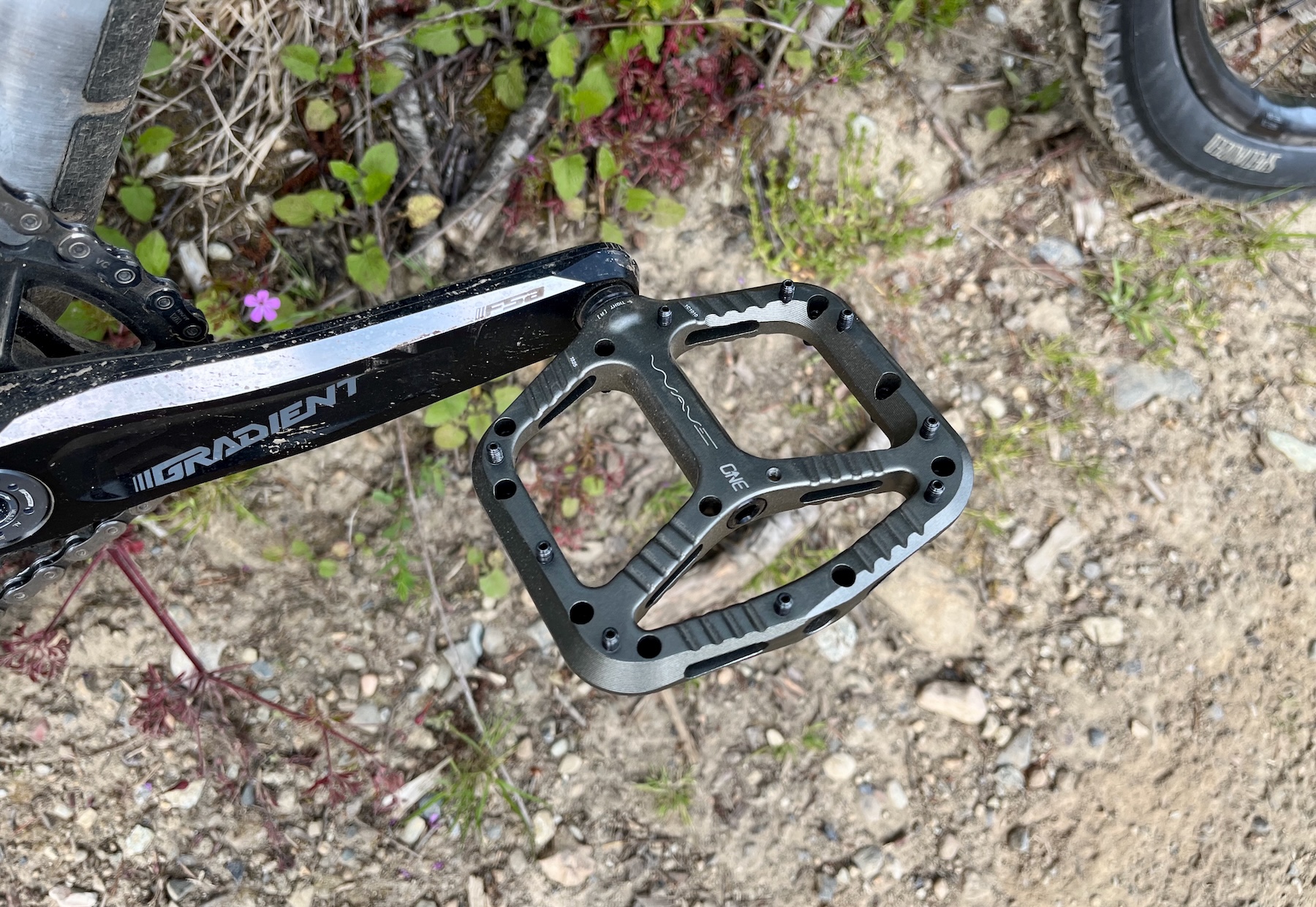 Flash Review: OneUp Wave Flat Pedals | Blister