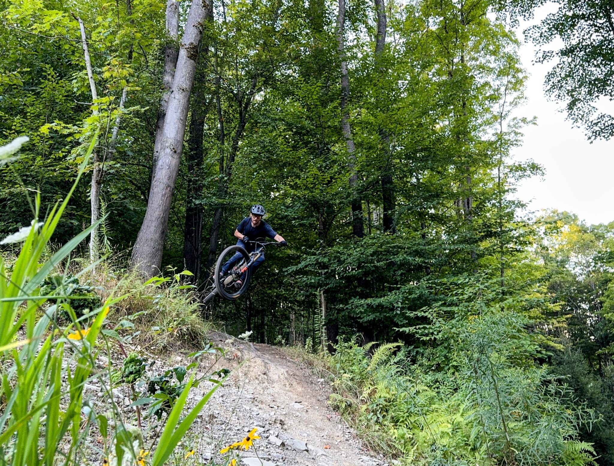 Propain Tyee 6.1 | Blister