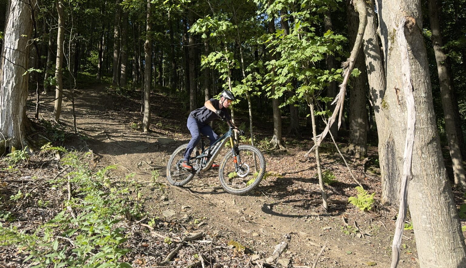 Propain Tyee 6.1 | Blister