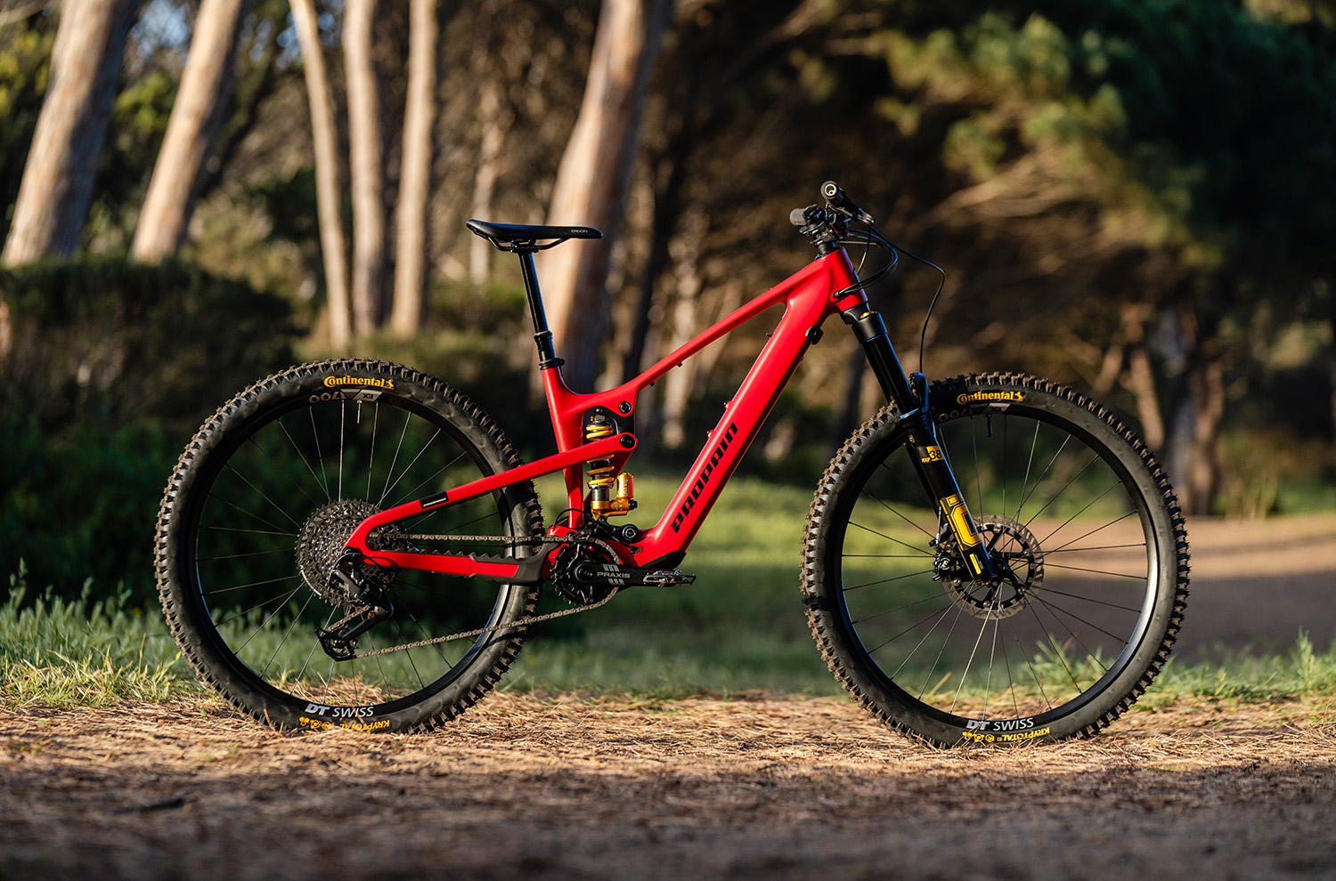 Propain Sresh SL | Blister