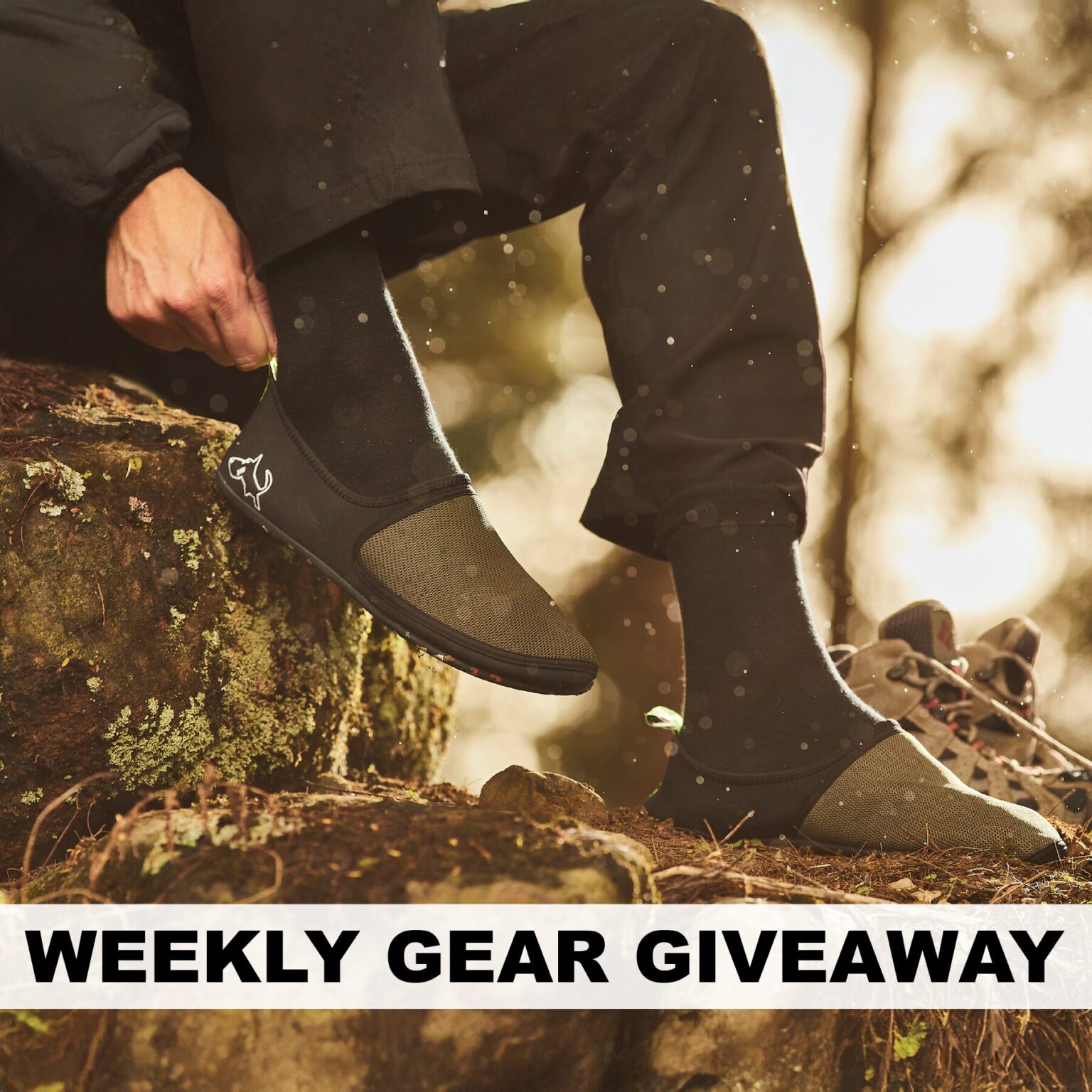Win Shoes From Bert | Blister