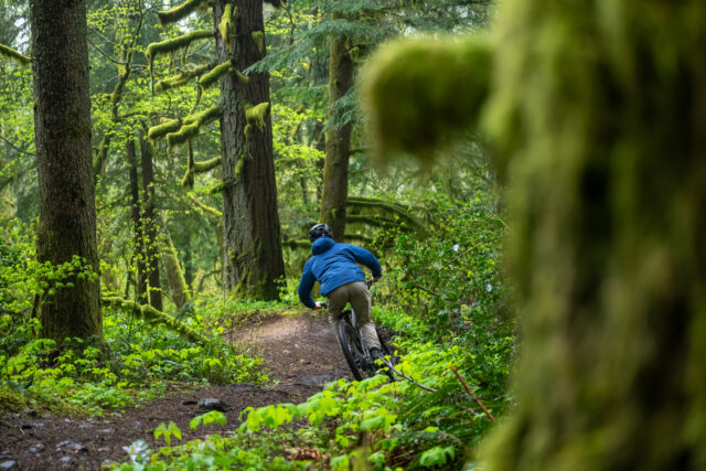 Schwalbe Albert Radial | Blister