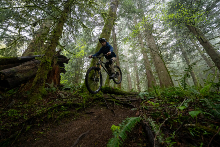 Schwalbe Albert Radial | Blister