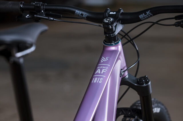 Ibis Ripley AF and Ripmo AF | Blister